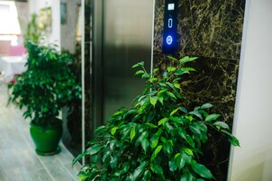 Um corredor com uma planta em vaso e painel de comando de elevador na parede.