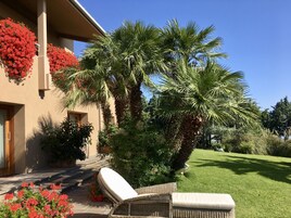 Vista para o jardim