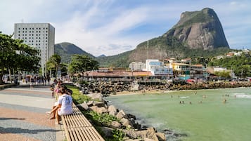 Jardim