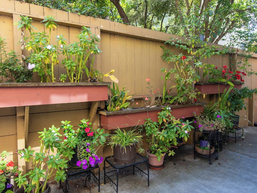 Um jardim com diversos vasos de plantas e flores.