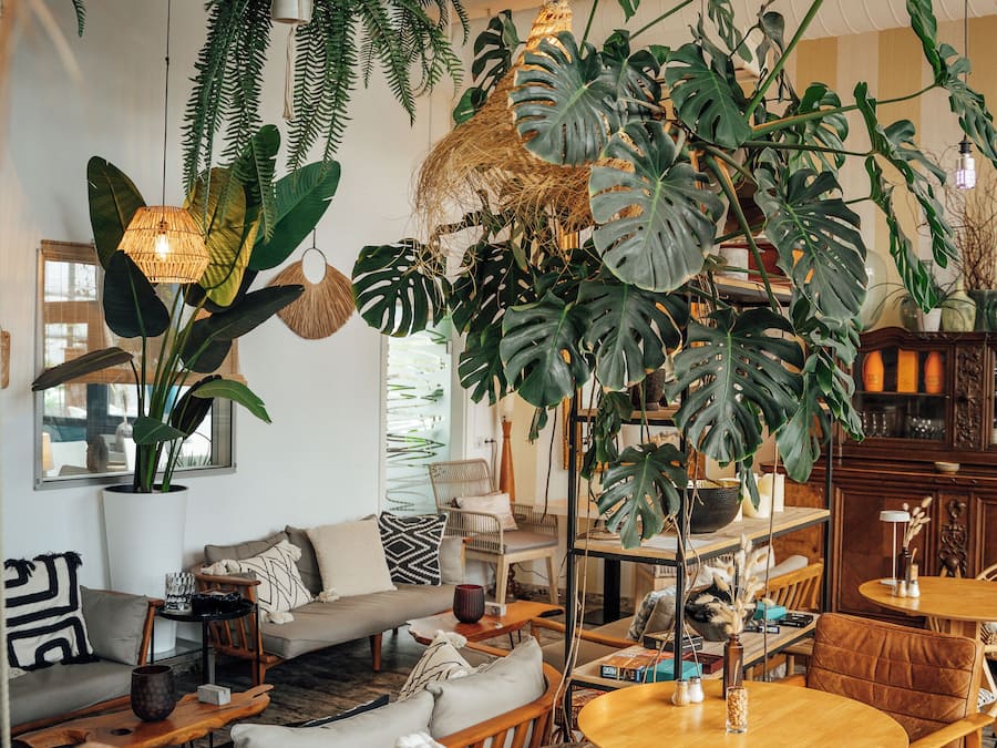 Café da manhã, almoço e jantar; culinária regional