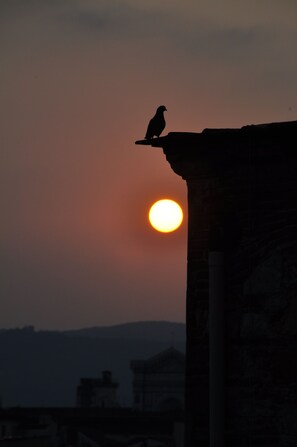 Um pássaro empoleirado na beira de um telhado, com o pôr do sol ao fundo.