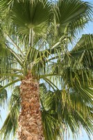 Quarto Duplo Superior, casa de banho anexa (Supérieure) | Exterior