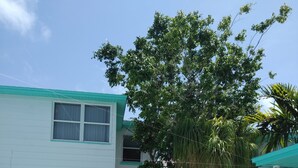 Uma área de piscina com cerca branca, uma cadeira azul e um edifício com o número 3 na lateral.