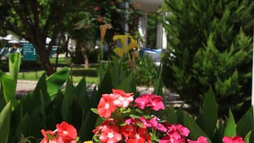 Jardim