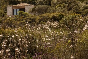 Suite, banheira de hidromassagem grande | Minibar, cofre no quarto, secretária, quartos insonorizados 