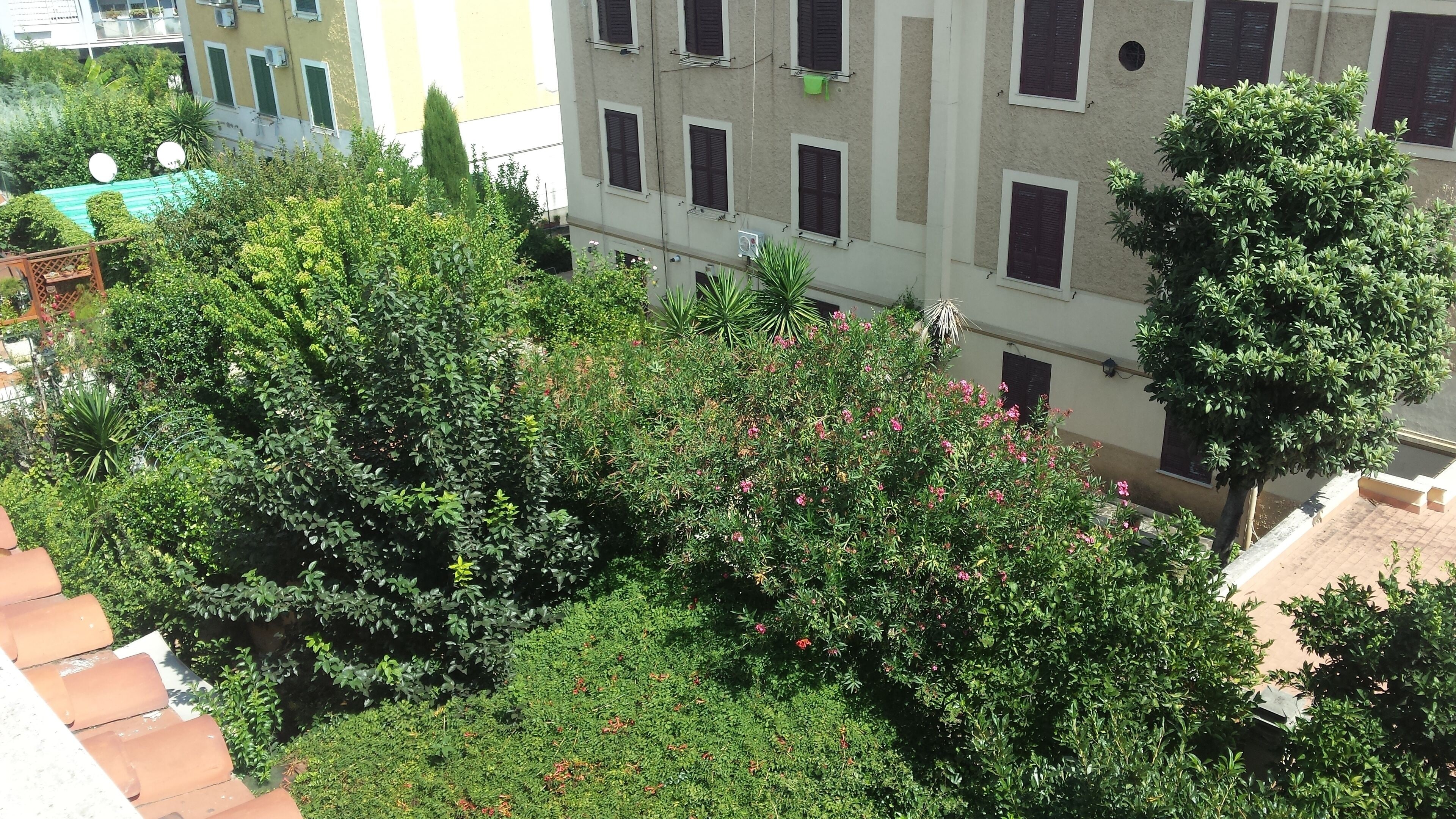 Um edifício com várias janelas e varandas, rodeado por vegetação exuberante e árvores.