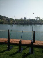 Uma área de pesca com três varas de pesca fixadas em suportes, um primeiro plano gramado e um corpo d'água calmo com uma linha de costa ao longe.