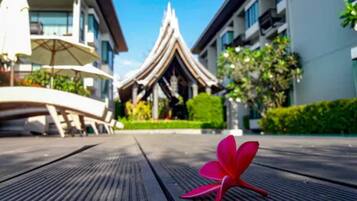 Terrenos do alojamento