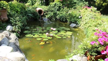 Jardim