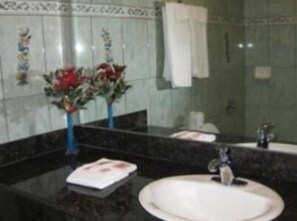 Chuveiro, secador de cabelo, toalhas de banho 