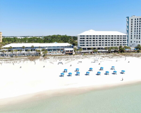 Osprey On The Gulf - 