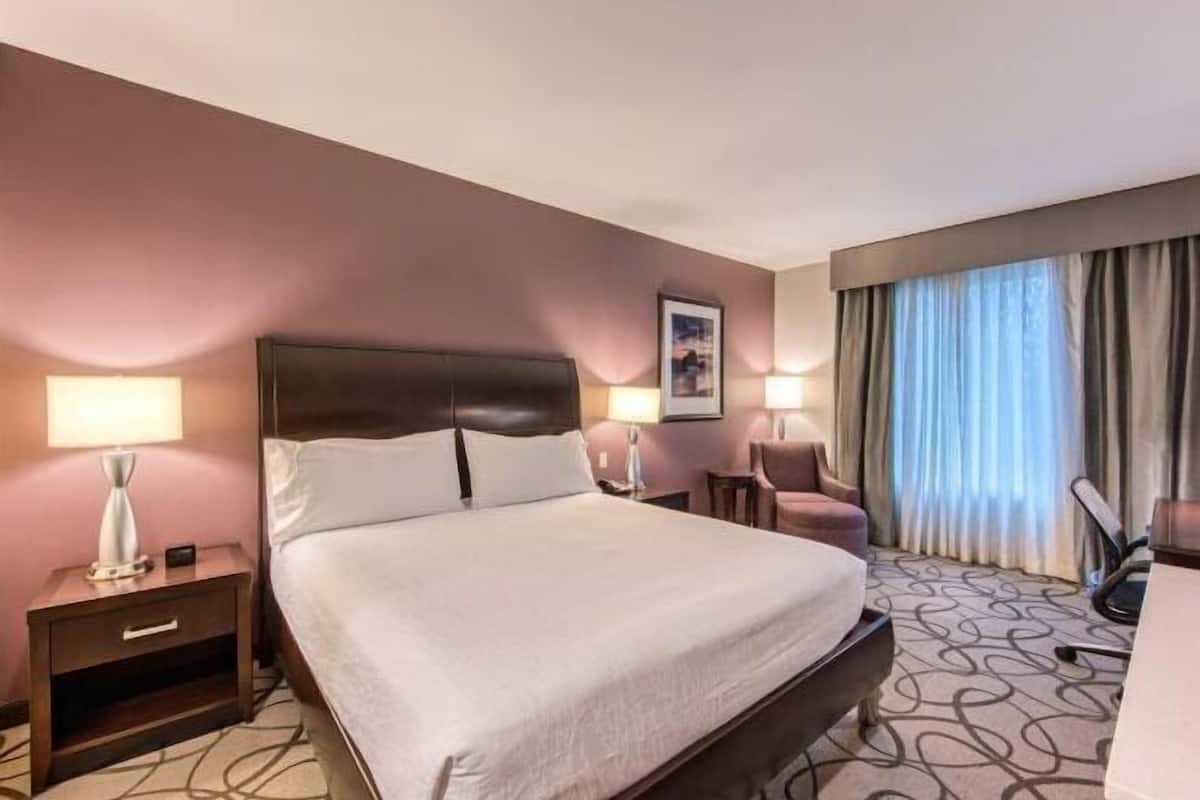 1 quarto, roupas de cama premium, edredons de pluma, escrivaninha