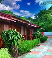 Uma casa de madeira tradicional com telhado vermelho, rodeada por vegetação exuberante e um caminho pavimentado.