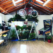 Quarto com teto de madeira, uma bicicleta pendurada no teto e diversos vasos de plantas em prateleiras e mesas.