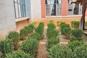Um pátio com arbustos bem cuidados e um edifício com grandes janelas e fachada de tijolos.