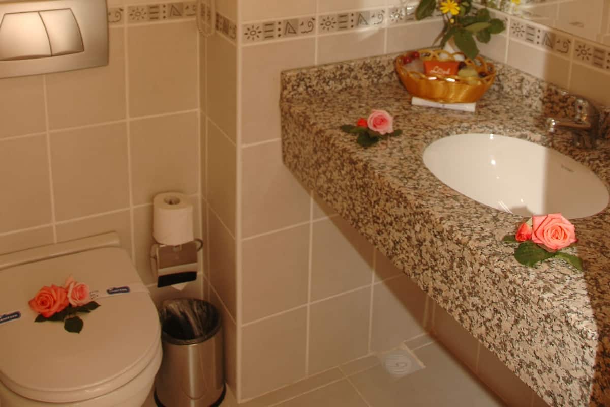 Quarto econômico | Banheiro | Chuveiro, produtos de toalete grátis, secador de cabelo
