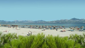 Uma praia com fileiras de espreguiçadeiras e guarda-sóis, céu limpo e montanhas ao longe.