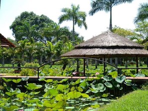 Jardim