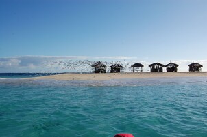 Uma praia privada, praia de areia branca, espreguiçadeiras, snorkel