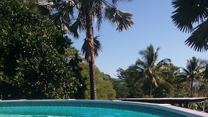 Piscina azul cristalina cercada por vegetação exuberante e palmeiras.