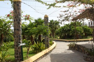 Área da propriedade