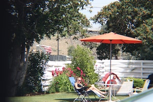 Jardim