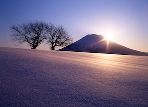 Paisagem coberta de neve com duas árvores sem folhas e uma montanha ao fundo.