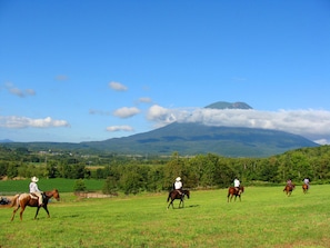 Um grupo de pessoas cavalgando em um campo gramado, com uma montanha ao fundo.