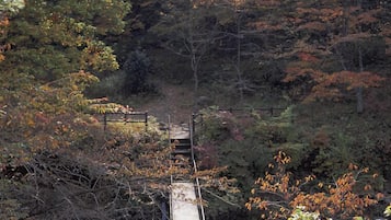 Uma ponte de madeira sobre um riacho em uma área arborizada com folhagem de outono.