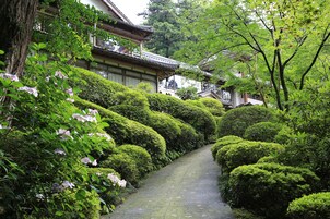 Jardim