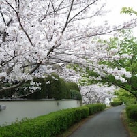 Terrenos do alojamento