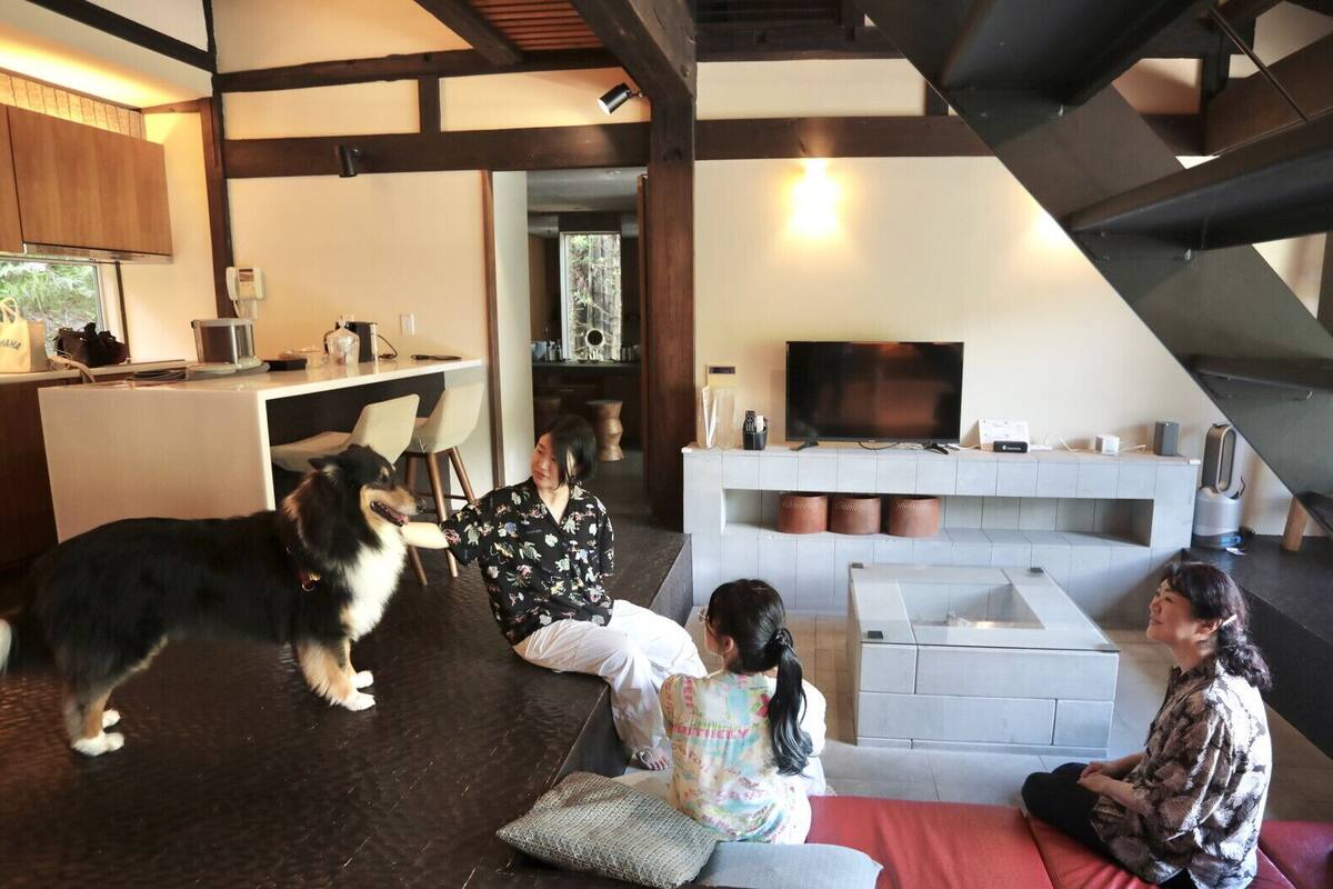 Uma sala de estar moderna com lareira, televisão e um cão.