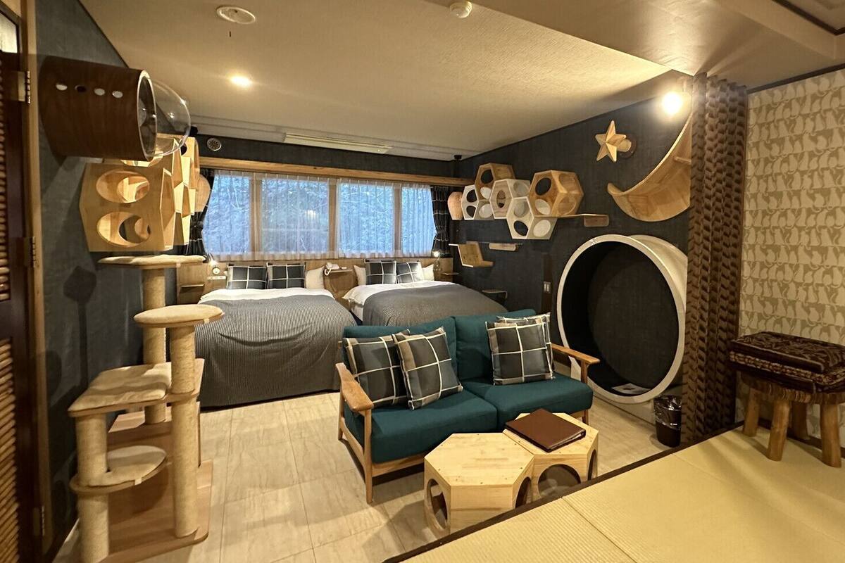 Quarto com arranhador para gatos, duas camas, um sofá, um espelho redondo e parede estampada.