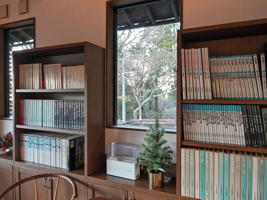 Uma biblioteca com estantes cheias de livros, um pequeno pinheiro de Natal e uma janela com vista para árvores.