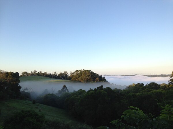 The Spotted Chook - Montville