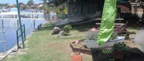 Terrenos do alojamento