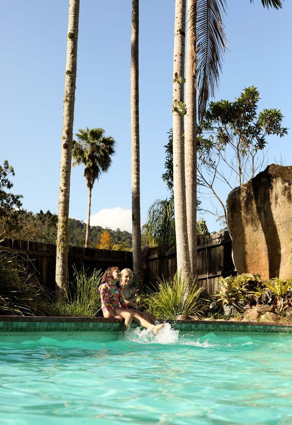 Mt Warning Rainforest Park - Uki