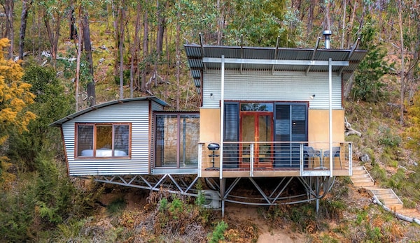 The Odd Frog - Bright