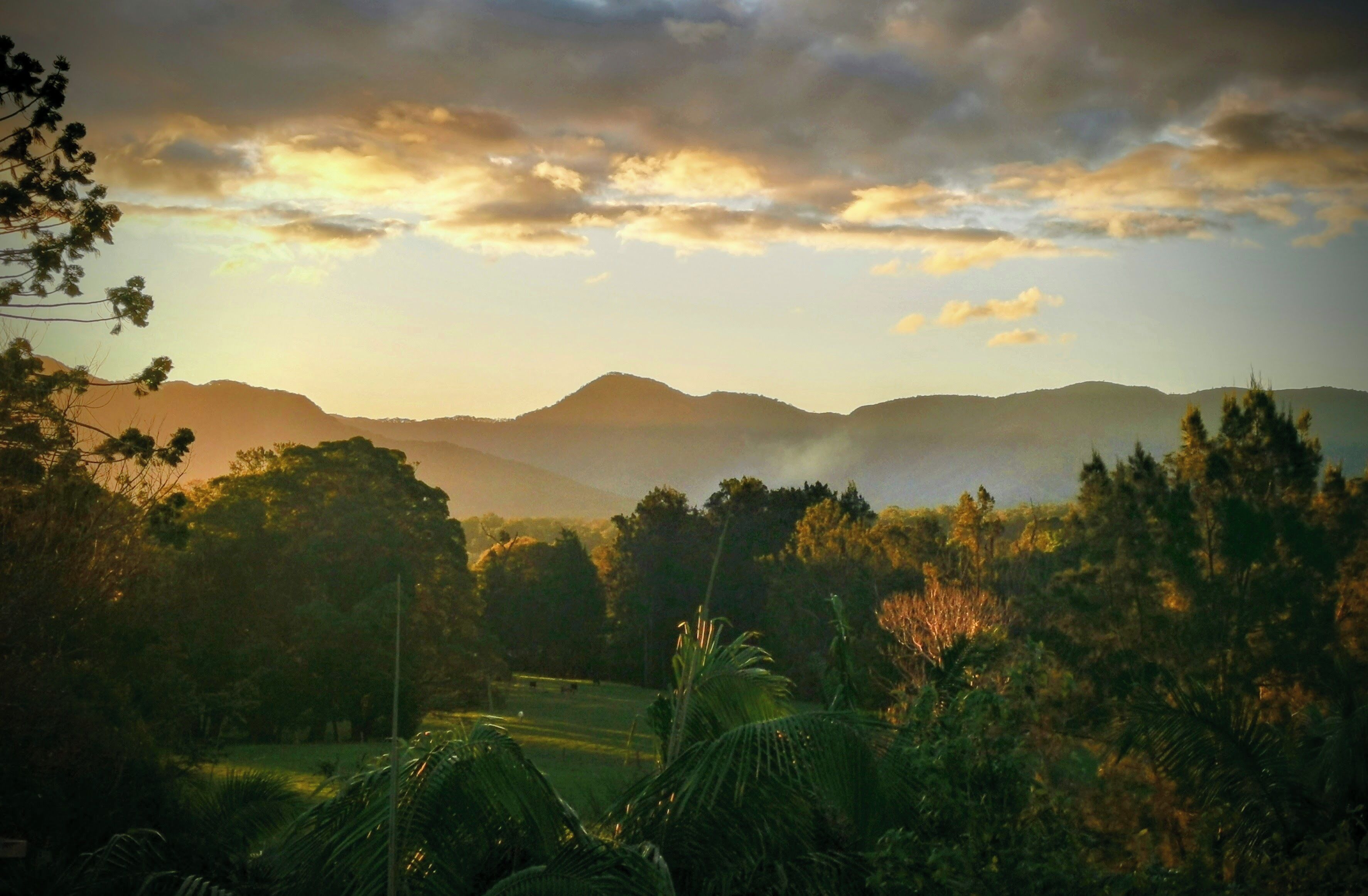 Paisagem com montanhas, árvores e céu claro.