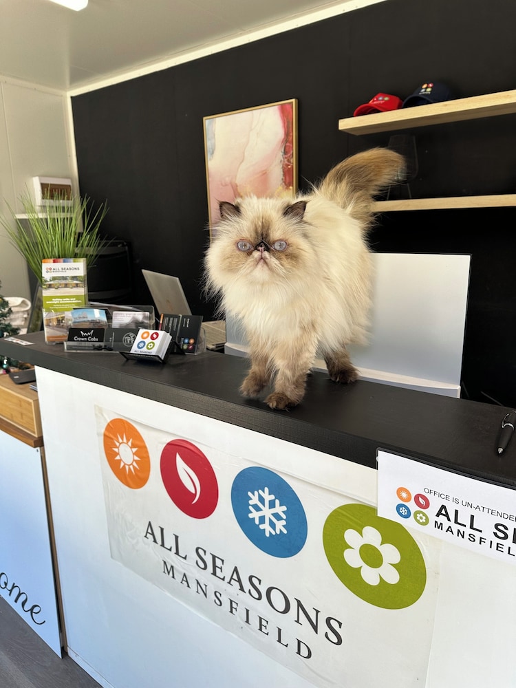 All Seasons Mansfield - Mansfield