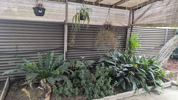 Jardim