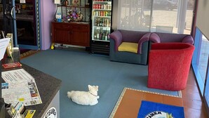 Um saguão de hotel com balcão de recepção, uma pequena área de estar com sofá e poltrona, um cão deitado no chão, e uma geladeira abastecida com bebidas.