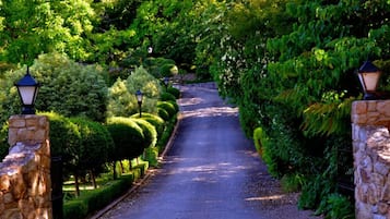 Vista para o jardim