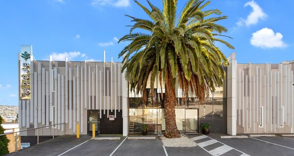 Areca Launceston - Launceston