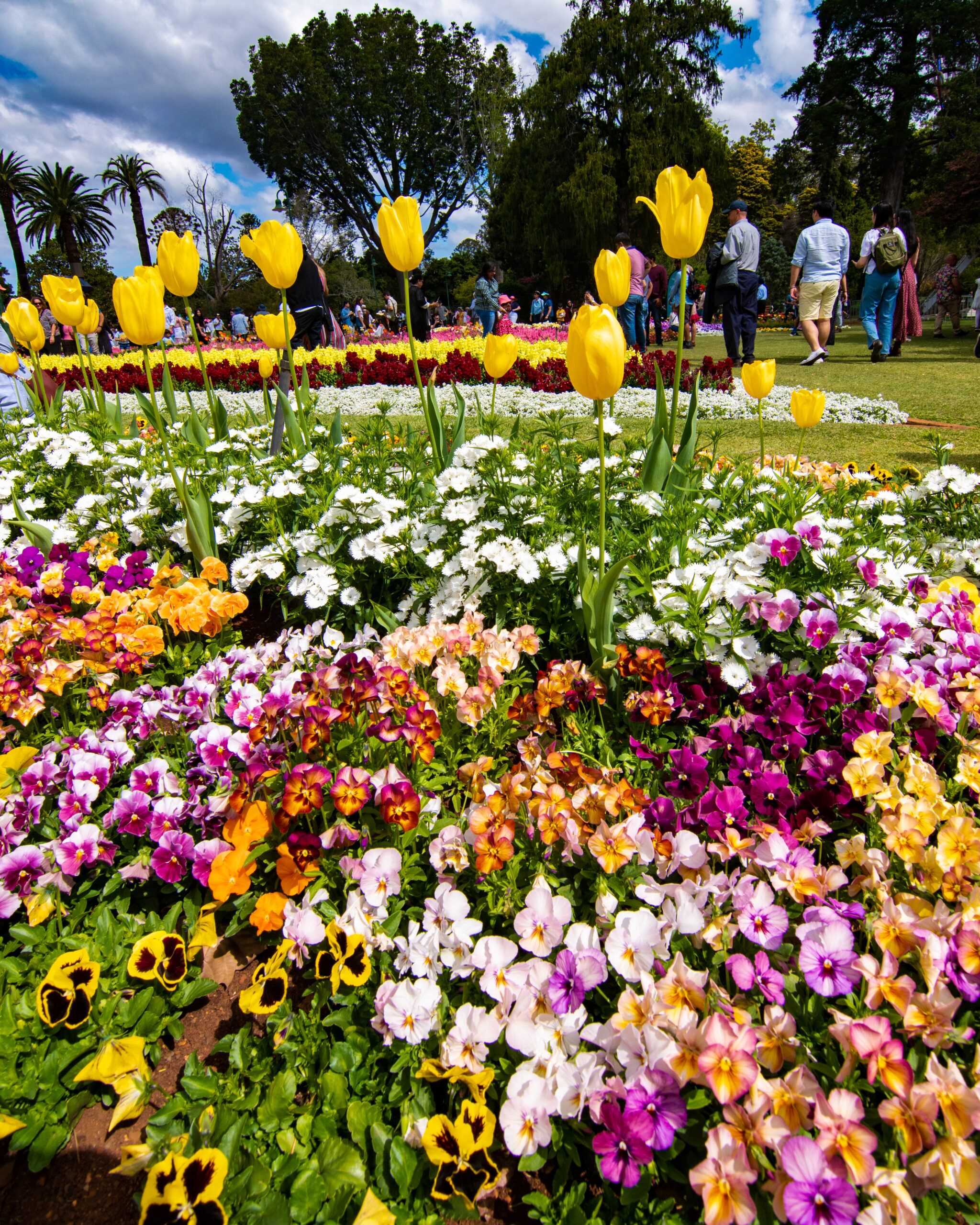 Um jardim com diversas flores e pessoas passeando.