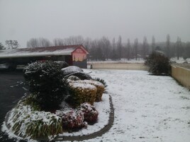 Área da propriedade