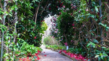 Jardim