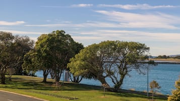 Um parque com árvores e um lago.