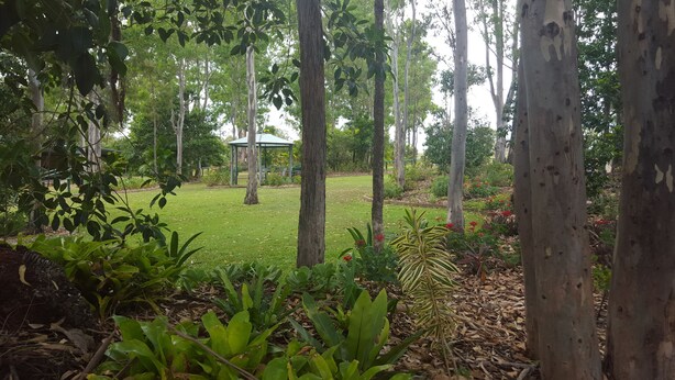Um jardim com um gazebo, rodeado por árvores e diversas plantas.